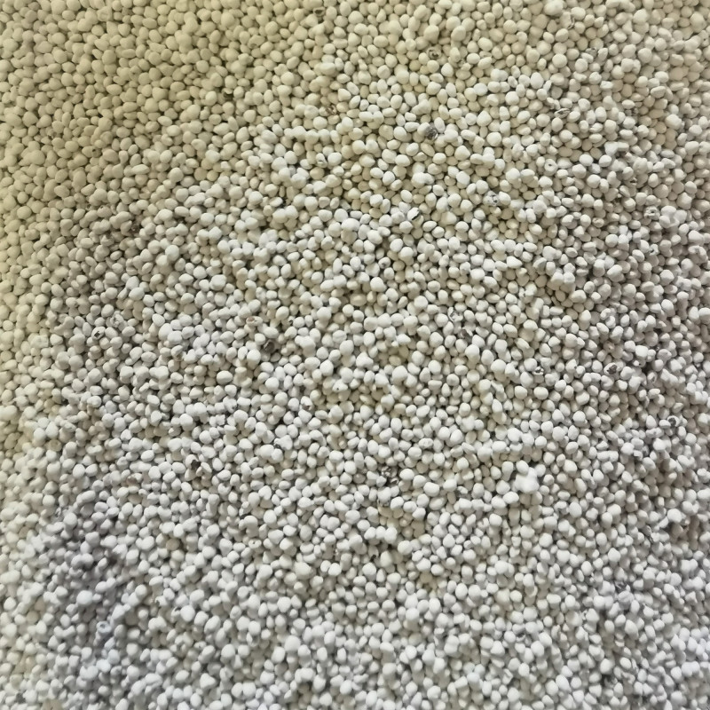 Graines de trèfle nain - Semences de Trifolium repens Microtrefle